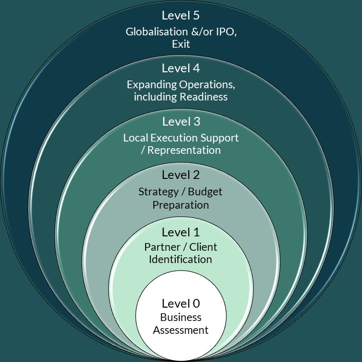 FIIGURE Services - to suit your level of development